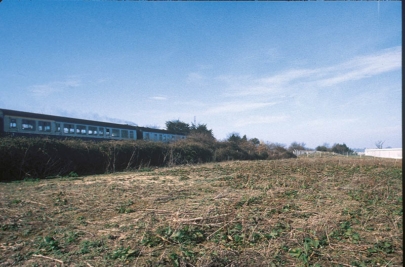 Company growth and the development of employee participation - Pollards ...